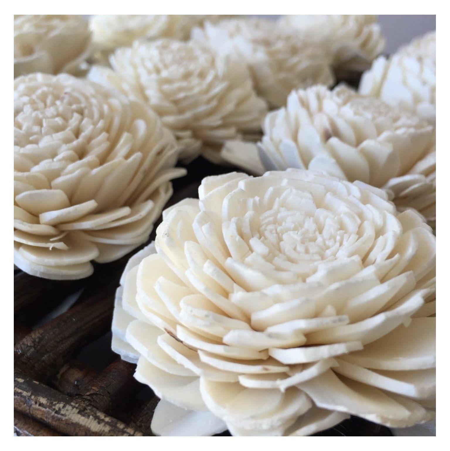Sola Wood Flowers