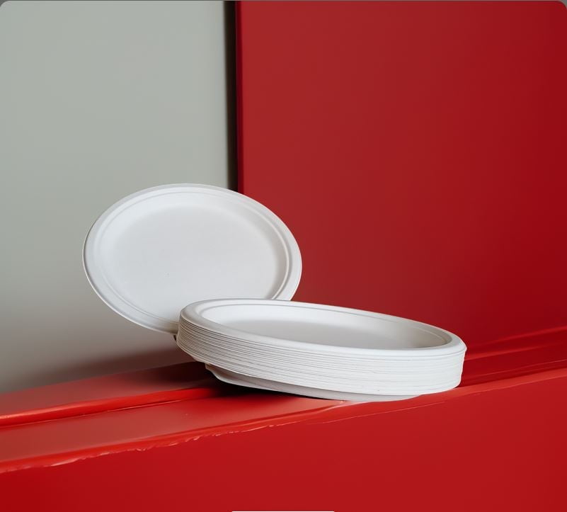 Eco-Friendly Disposable Plates 10 Inch Sturdy, Biodegradable Party ...