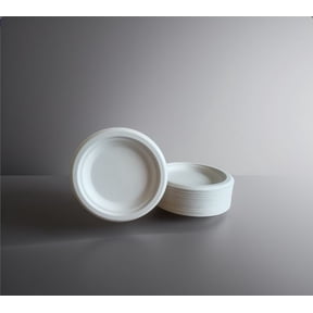 6" Disposable Plates