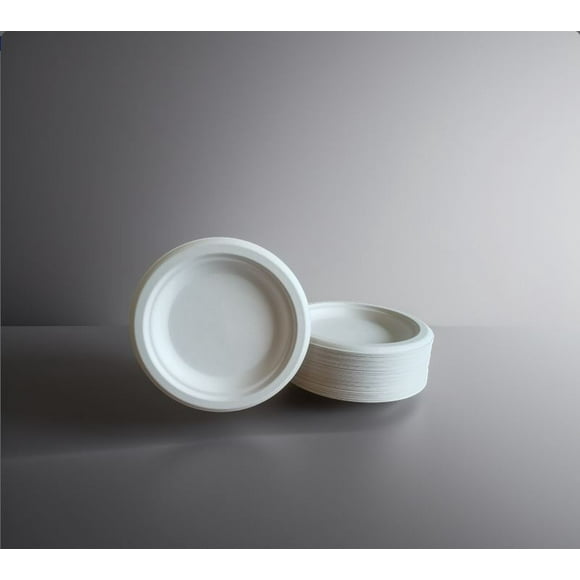 6" Disposable Plates