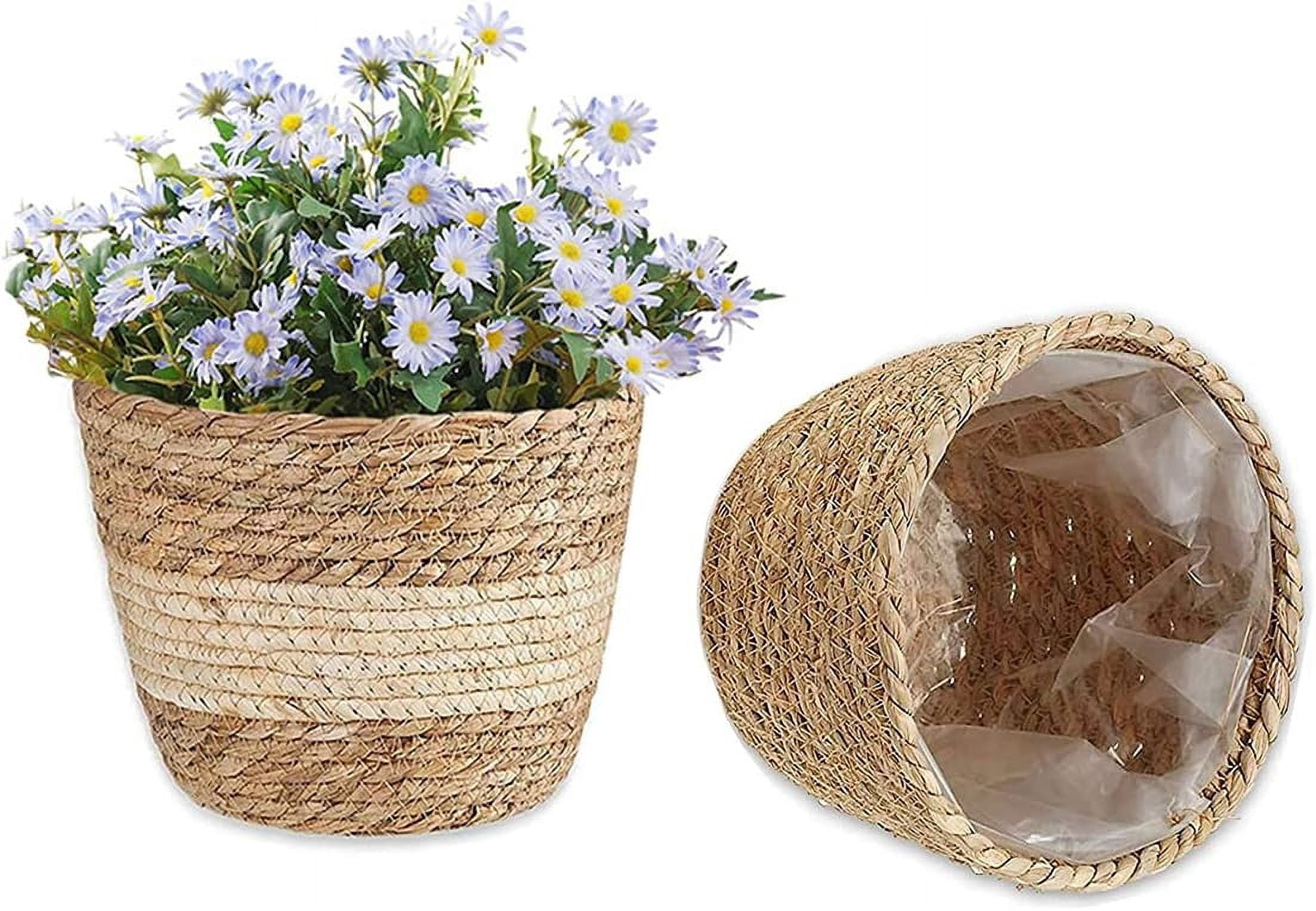 Eco-Friendly Housewarming Gift, Water Hyacinth Corn Stalk Woven ...
