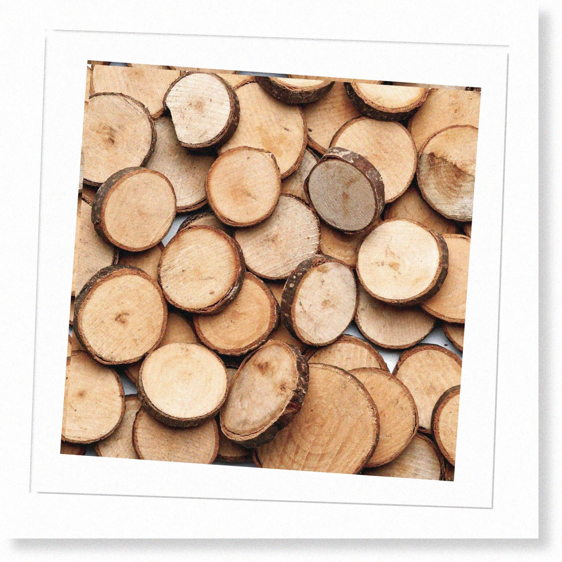 Eco-Friendly Natural Wood Rounds with Bark - Set of 50 Pieces, 1 3/4 ...