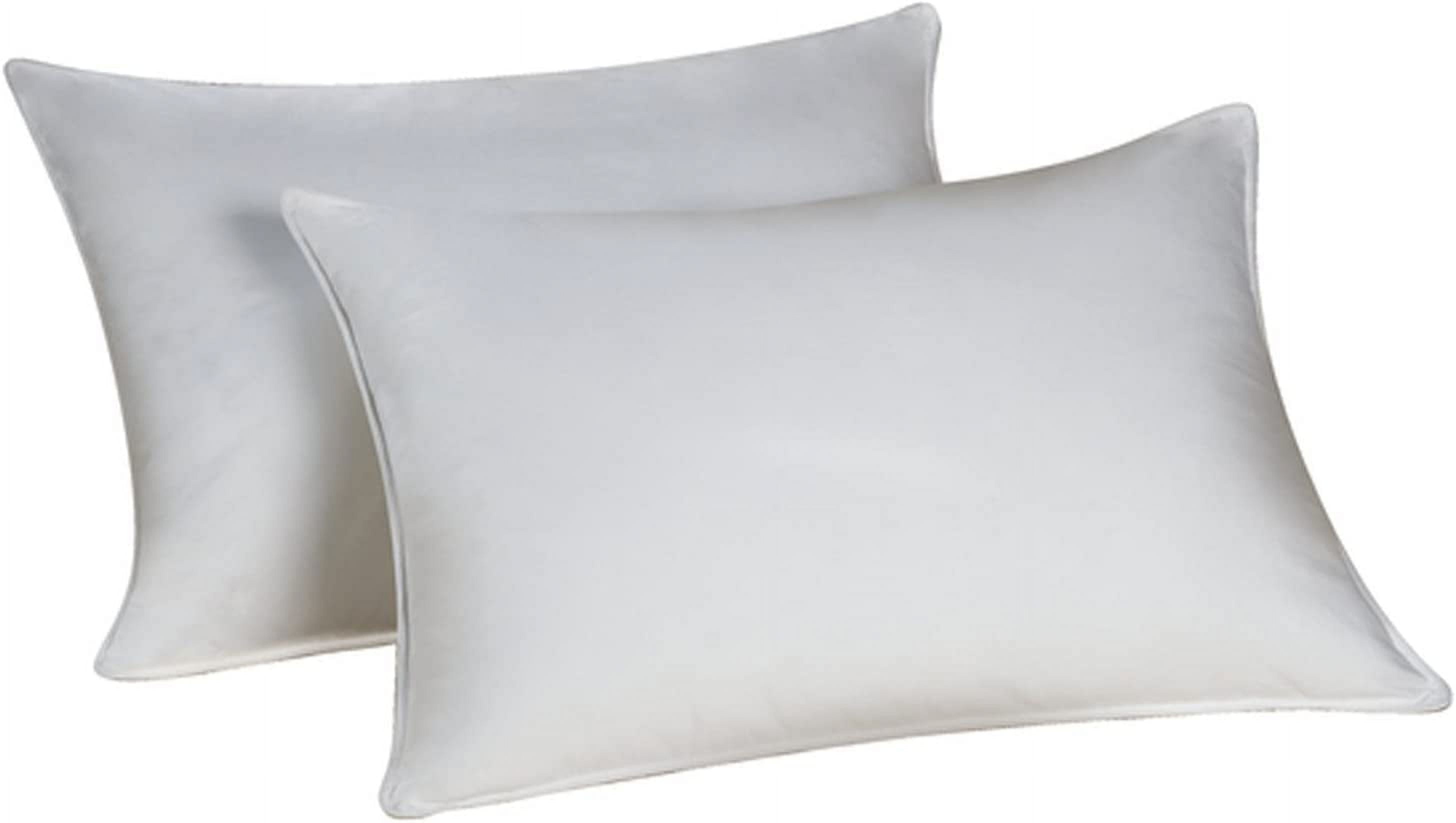 Ecosmart Pillow
