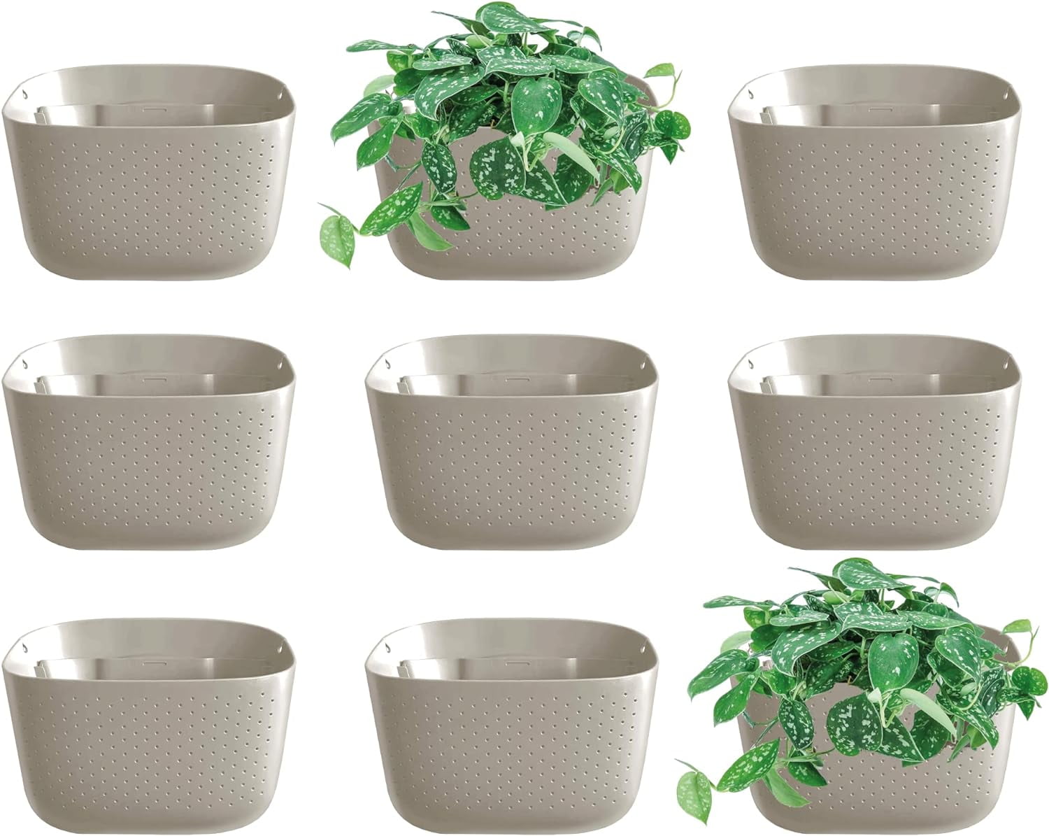 Eco Wall Planter, Create A Plant Wall With Hanging Planters For Indoor ...