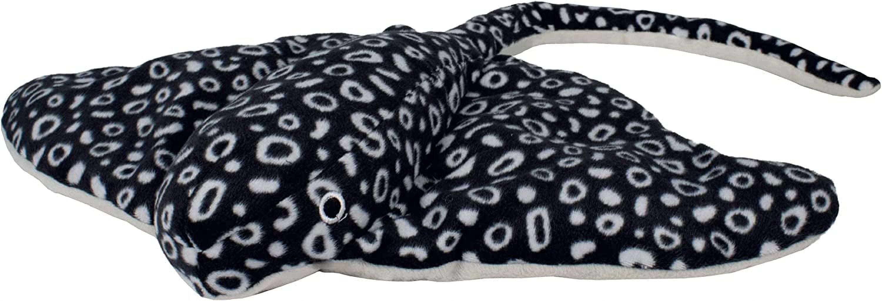 EcoBuddiez - Eagle Ray from Deluxebase. 12 Inch Eagle Ray Plush Toy ...