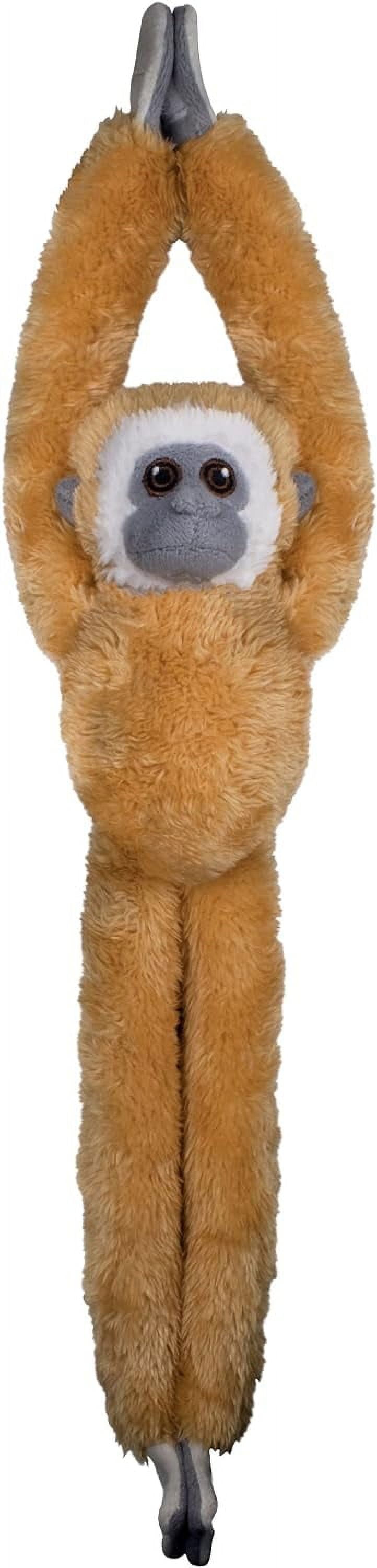 EcoBuddiez Tree Huggers - Gibbon from Deluxebase. Small 55cm Hanging ...