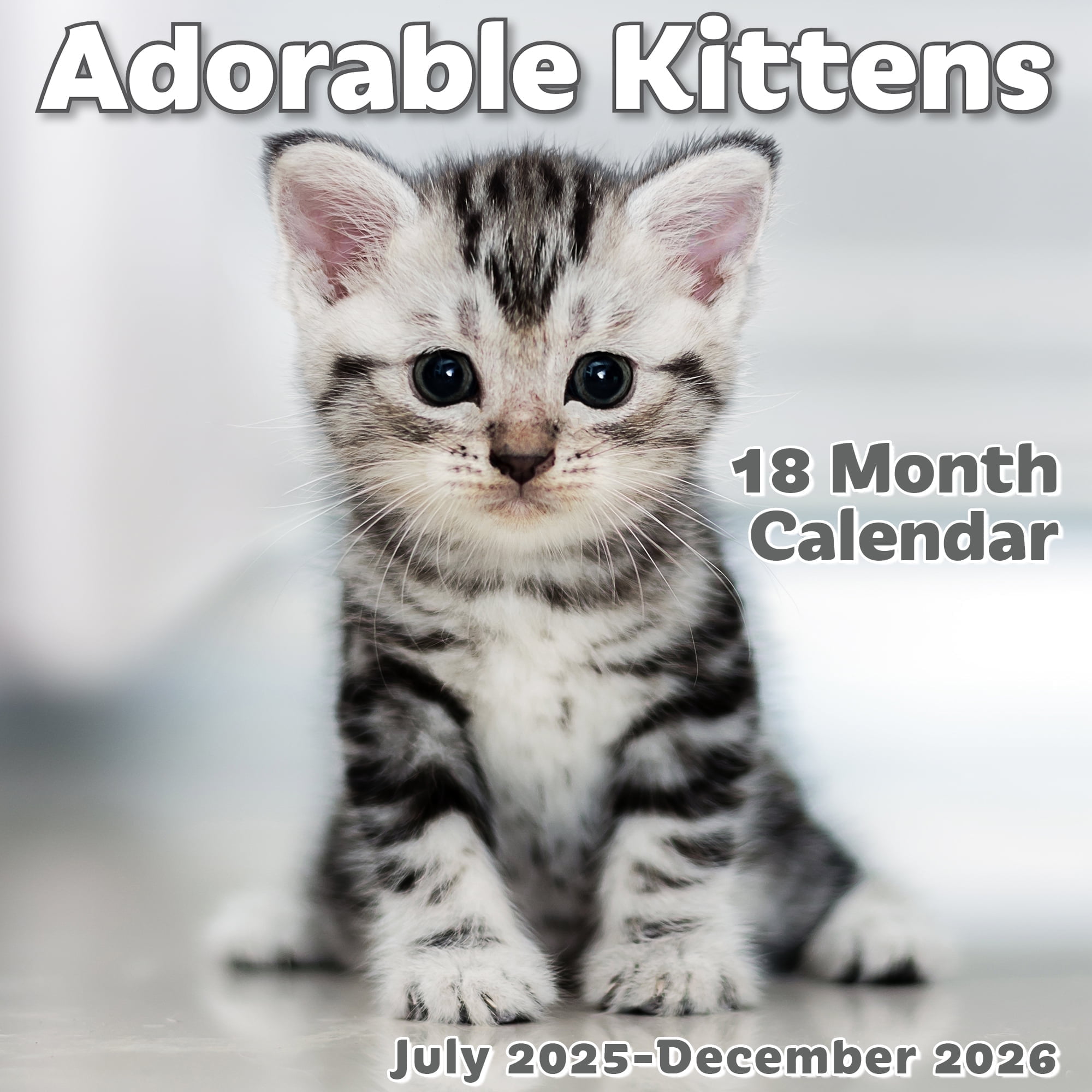 EcoEarth 18 Month Vertical Wall Calendar, Cute Kittens, 11" x 17", Jul ...
