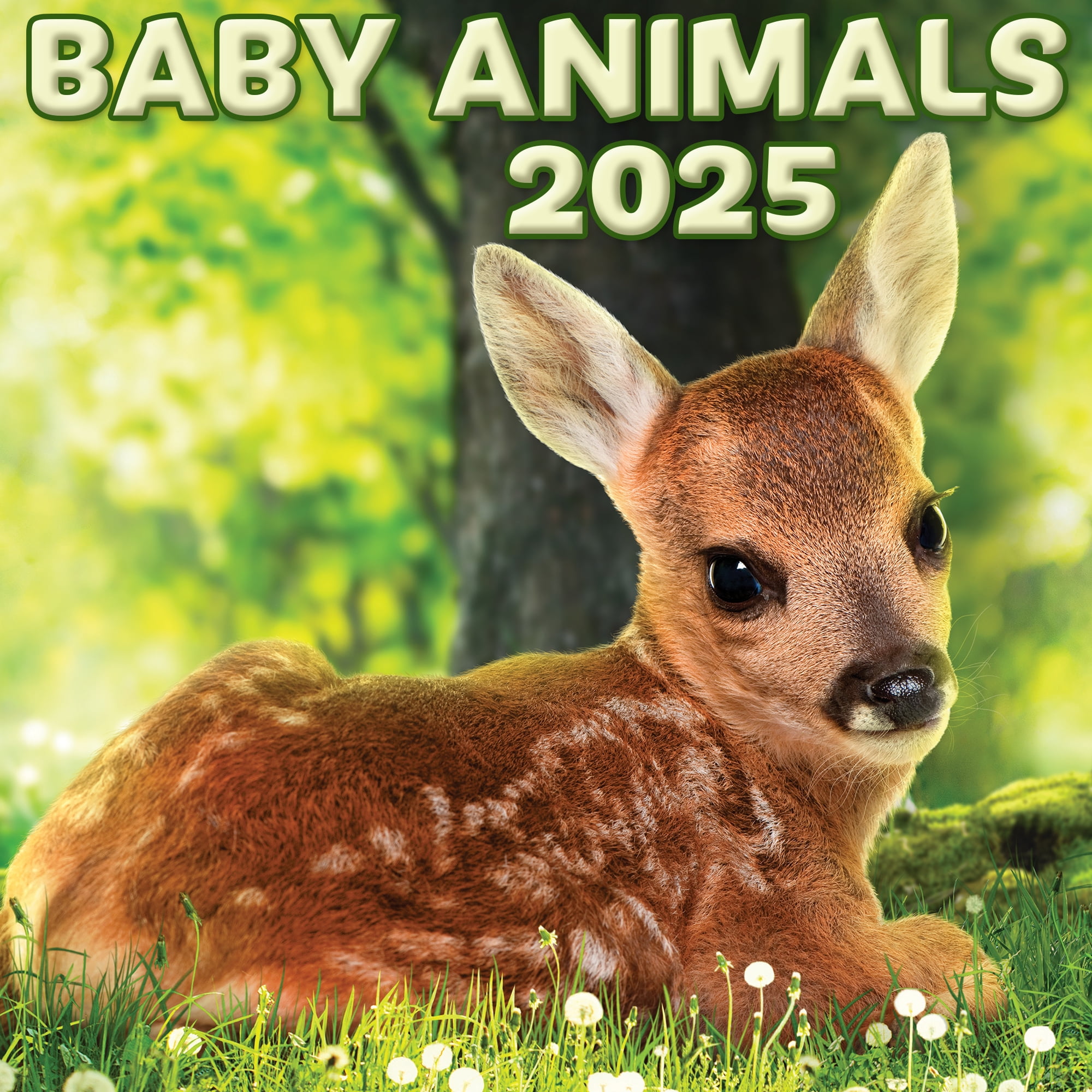 EcoEarth 12-Month Wall Calendar for 2025, Vertical 11x22 Hanging Baby ...