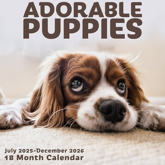 2025 Calendars in Calendars by Year - Walmart.com