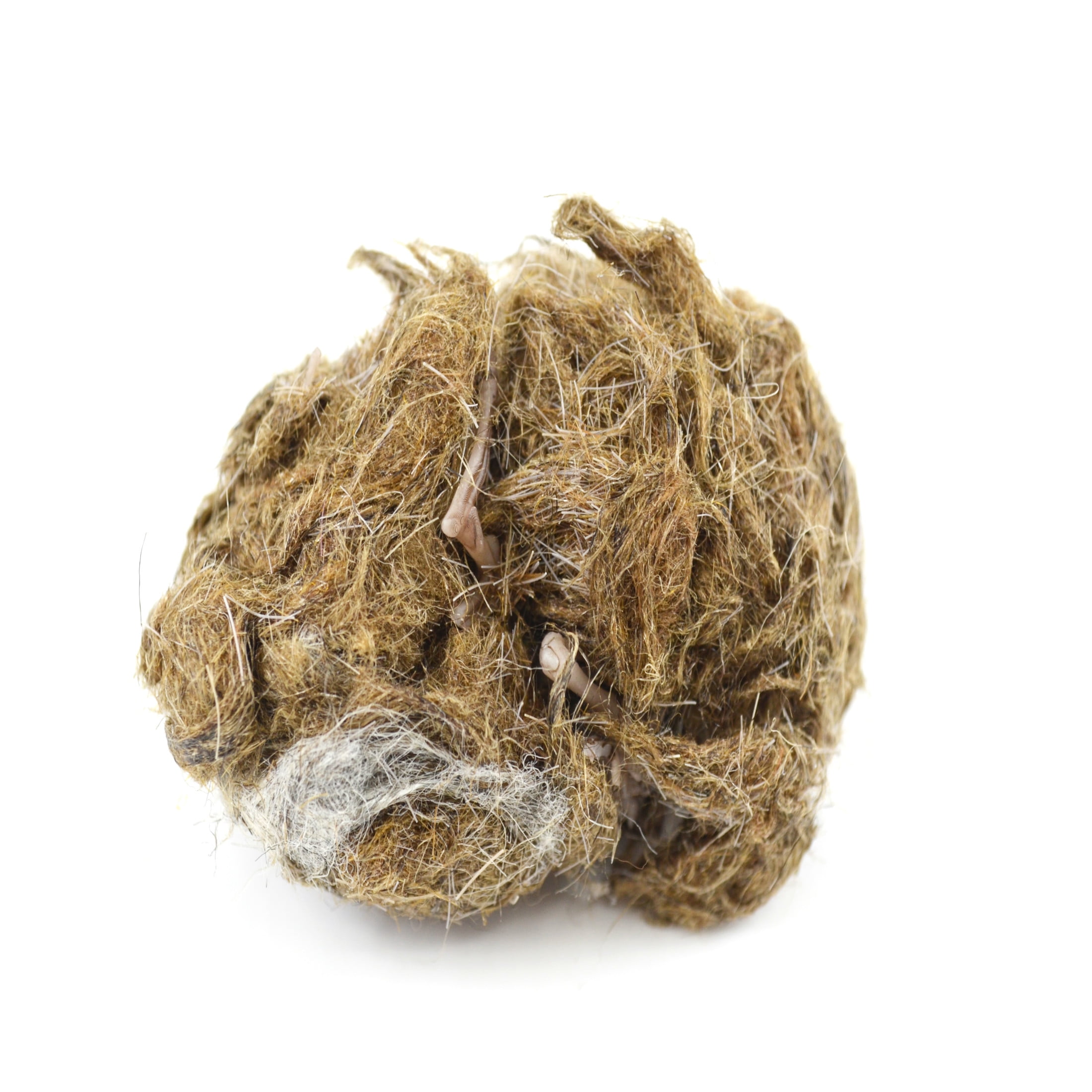 EcoExploration Simulated Owl Pellet with Mouse by Eisco Labs ...