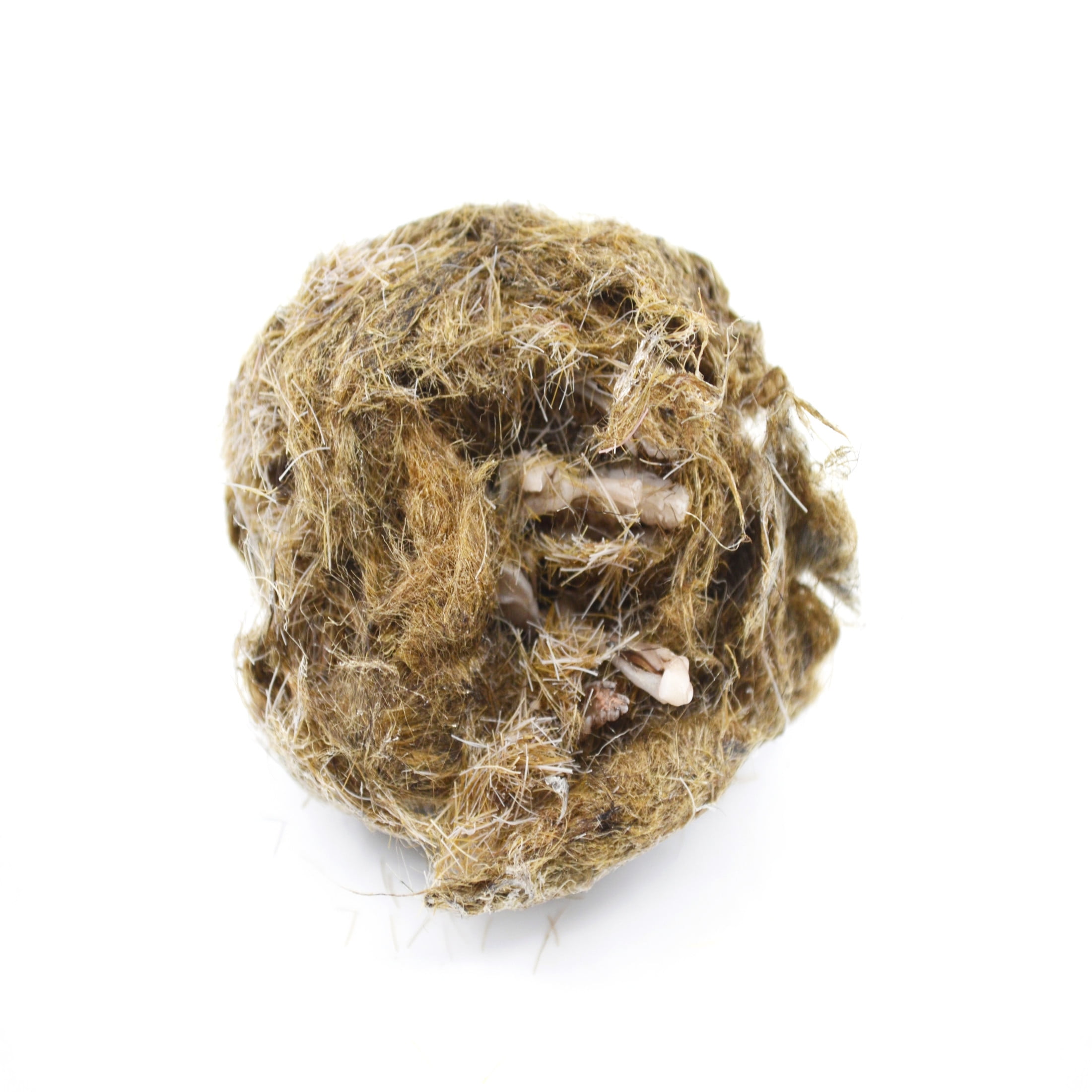 EcoExploration Simulated Owl Pellet with Vole by Eisco Labs - Realistic ...