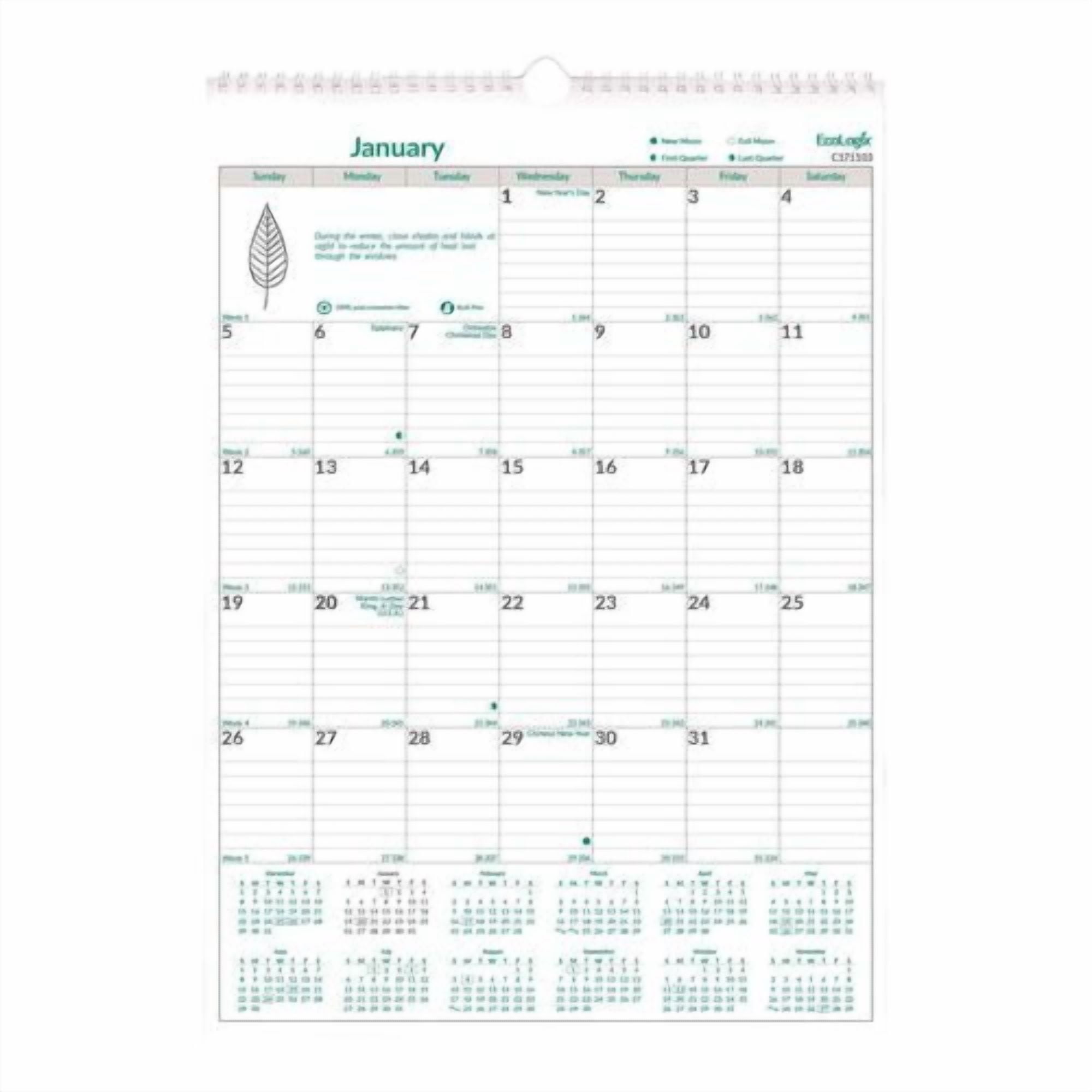 EcoLogix Monthly Wall Calendar, EcoLogix Artwork, 12 x 17, White/Green ...
