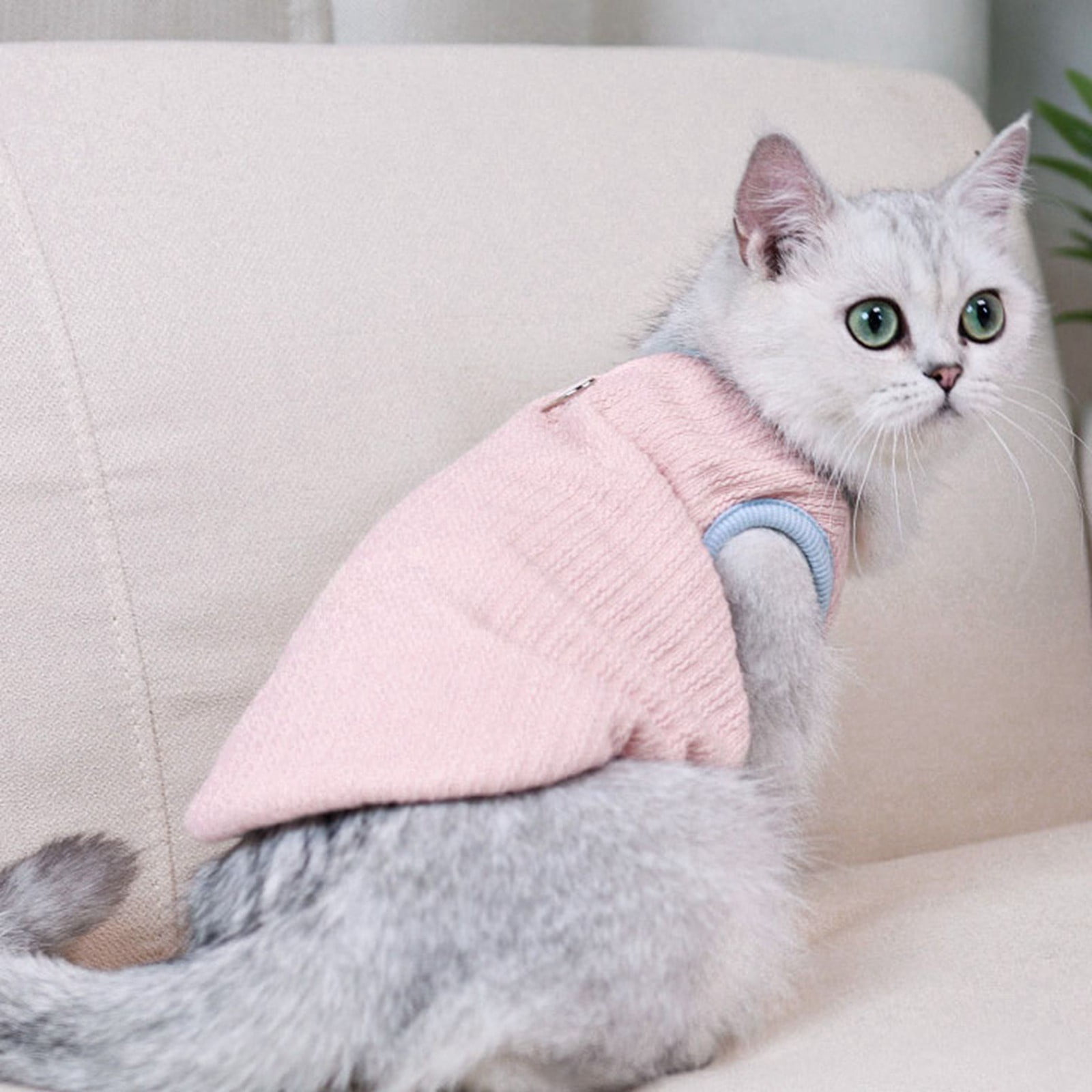 EcoNest Autumn Winter Warm Soft Knitted Sweater Coat For Small Medium ...