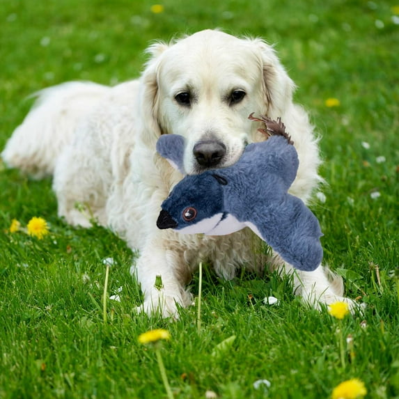 EcoNest Cat Toys Suitable For Bored Indoor Cats Bat For Cats With USB ...