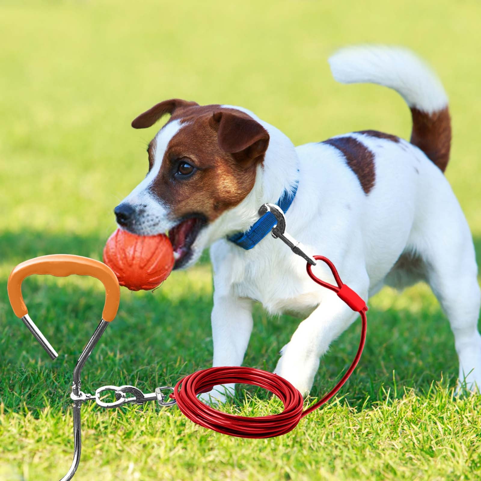 EcoNest Dog Tie Out Stake Kit Heavy Duty Metal Pet Ground For Small ...