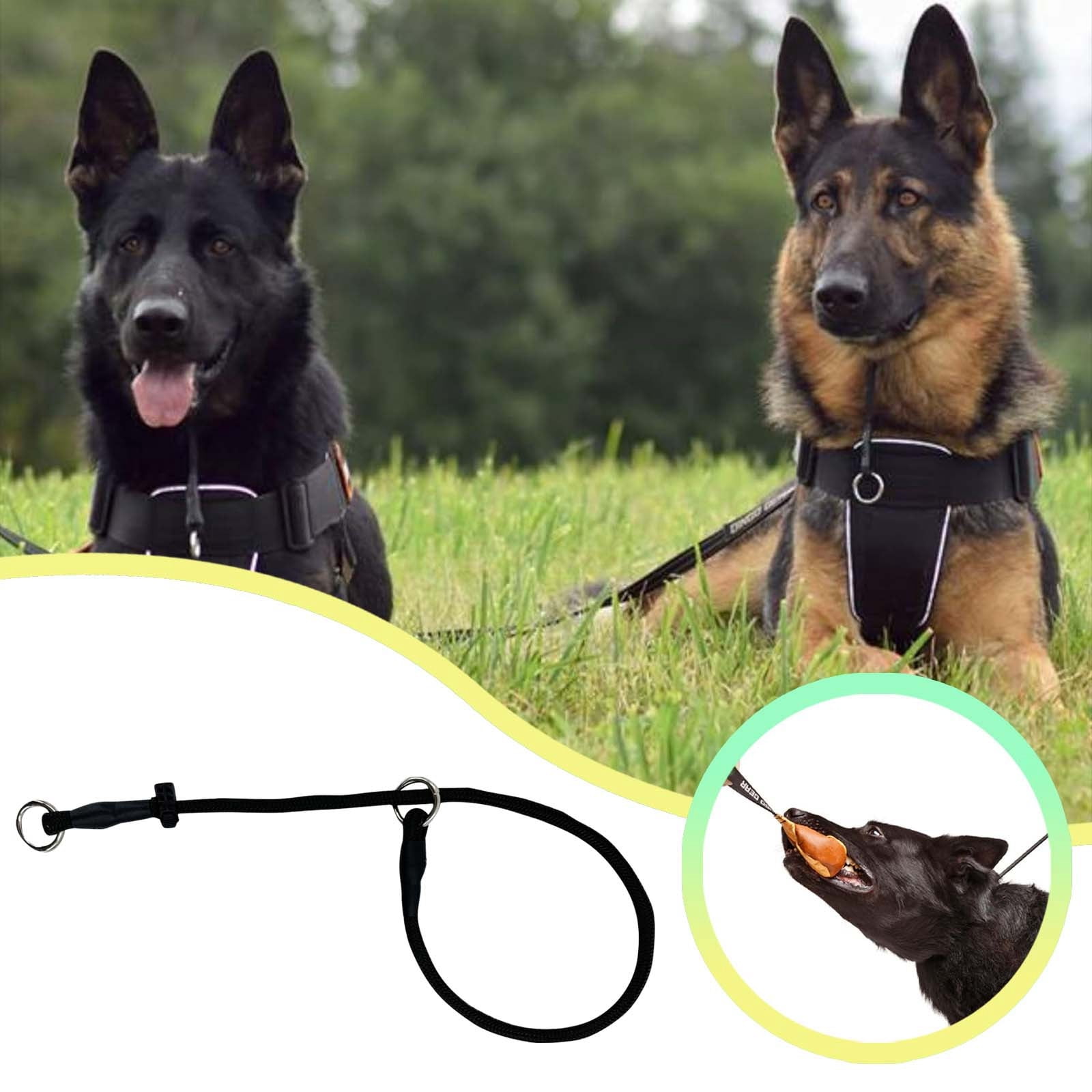 EcoNest Dog Training Traction Rope Outdoor Explosion Proof Punch P Rope ...