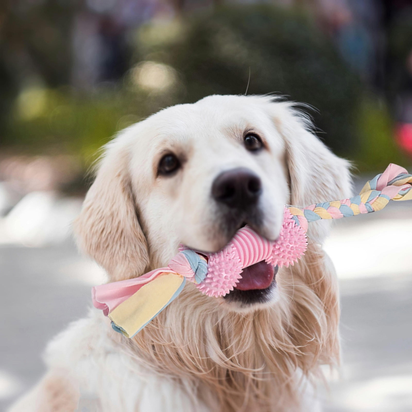 EcoNest Durable Dog Chew Toys For Aggressive Chewers Interactive Pet ...