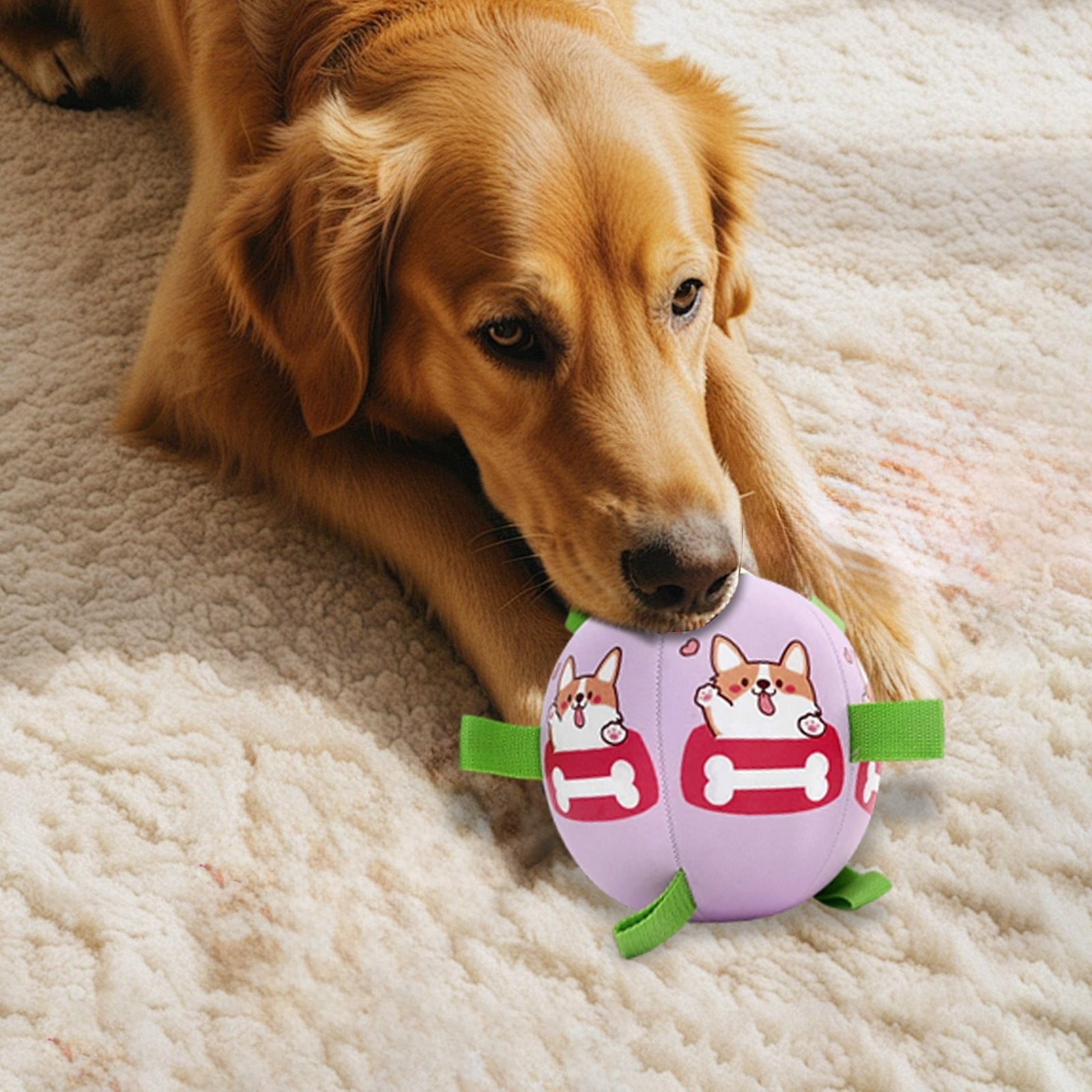 EcoNest Durable Dog Chew Toys For Aggressive Chewers TPR Pet Teeth ...