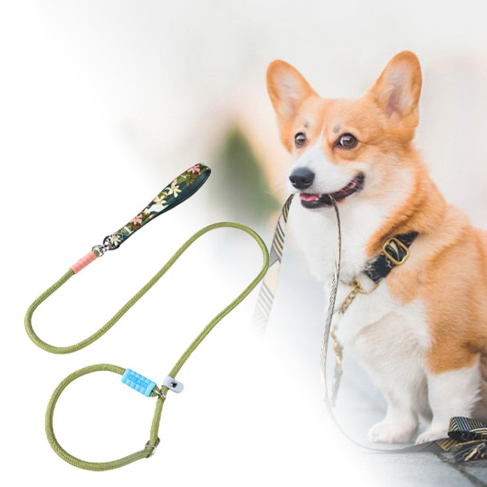 EcoNest Durable Dog Leash For Small Medium Dogs Reflective Nylon Pet ...