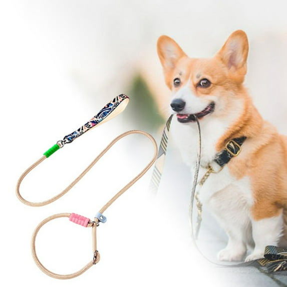 EcoNest Durable Dog Leash For Small Medium Dogs Reflective Nylon Pet ...