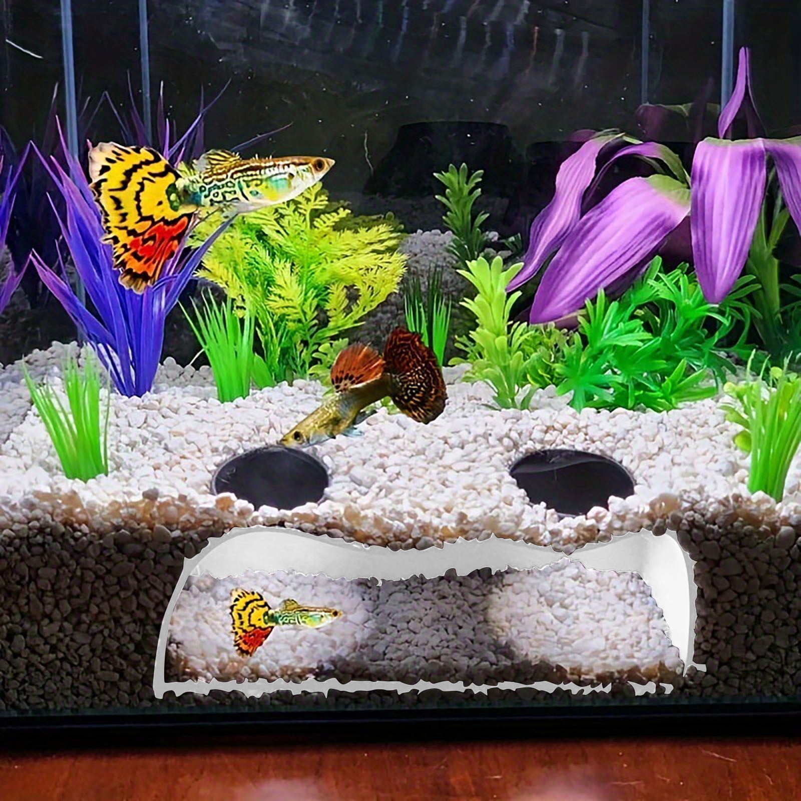 EcoNest Fish Tank Tunnel Natural Underground Corner Fish Tank Viewing ...