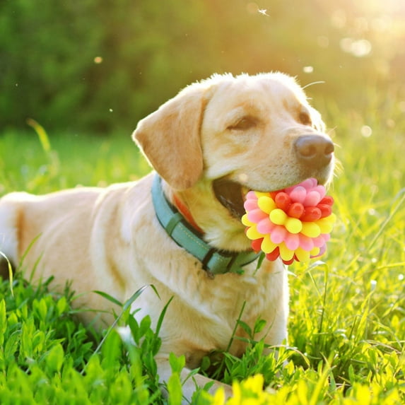 EcoNest Heavy Duty Spiky Chew For Aggressive Chewers With Cleaning ...