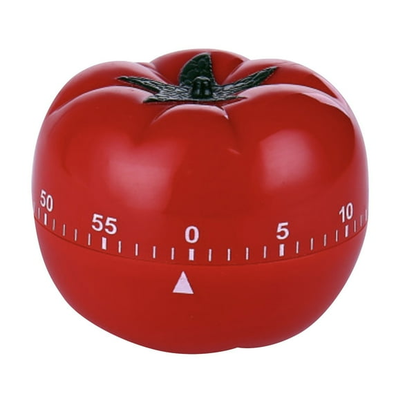 EcoNest Kitchen Timer For Cooking Baking And More Precision Countdown ...