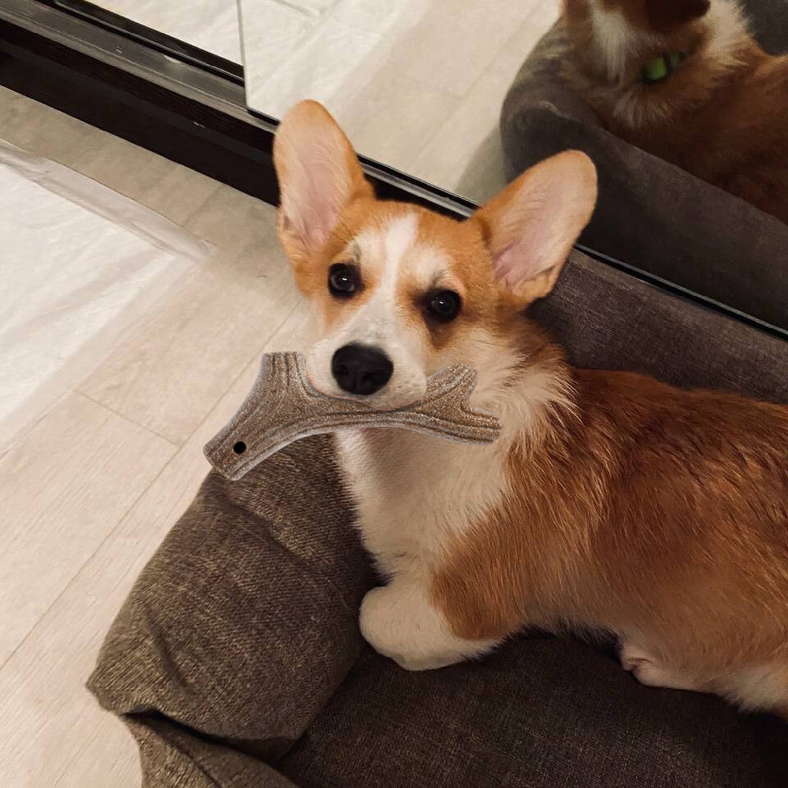 EcoNest Natural Chew Shape Cleaning Stick For Aggressive Chewers Long ...