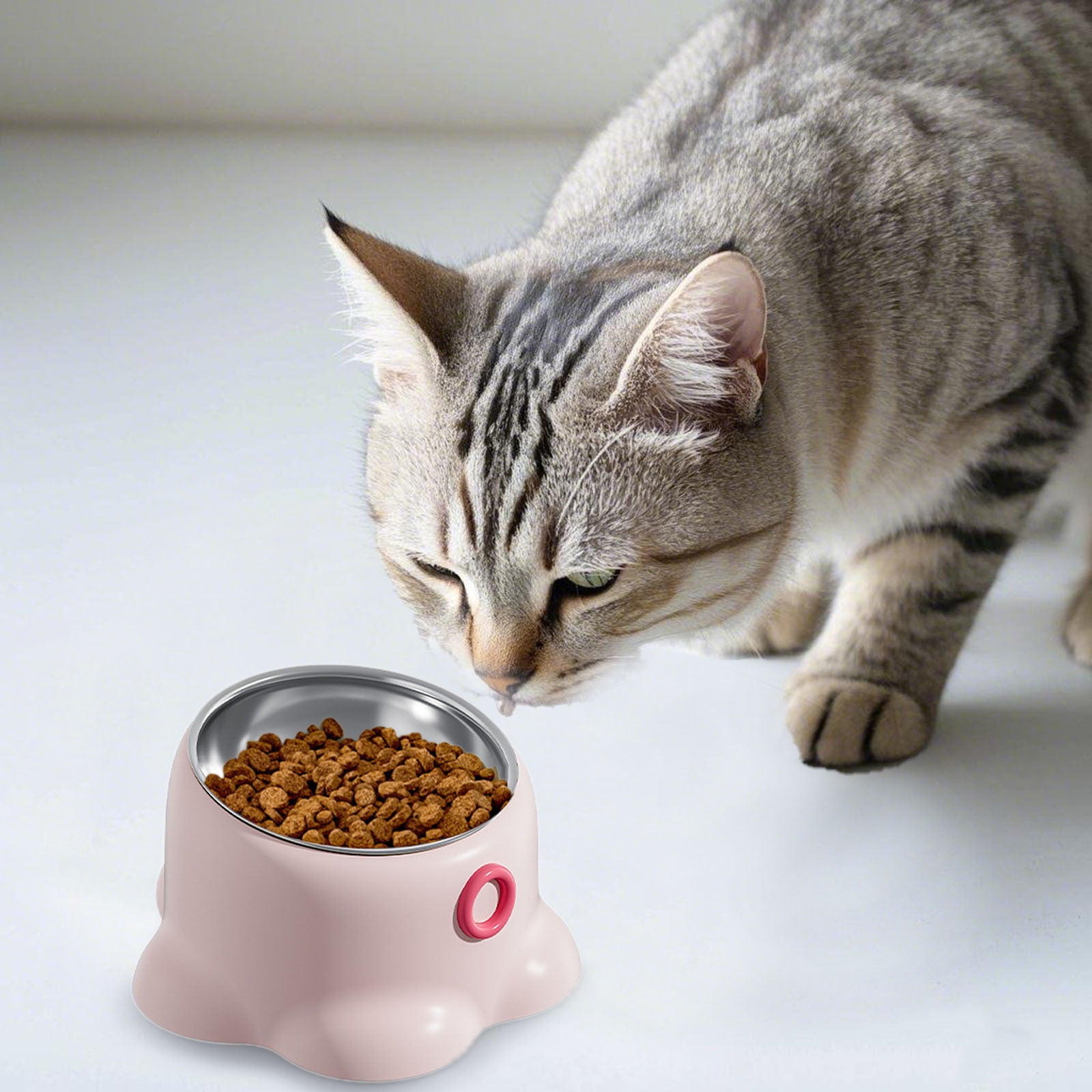 EcoNest Pet Cat Feeding Bowl Design With Sturdy Base Heavy Duty Base ...