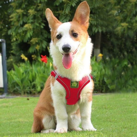 EcoNest Pet Harness Reflective Breathable Dog Leash Puppy Harness Pet ...