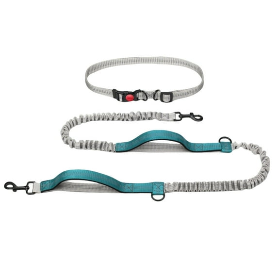 EcoNest Pet Leash Outdoor Running Reflective Double Extendable Dog ...