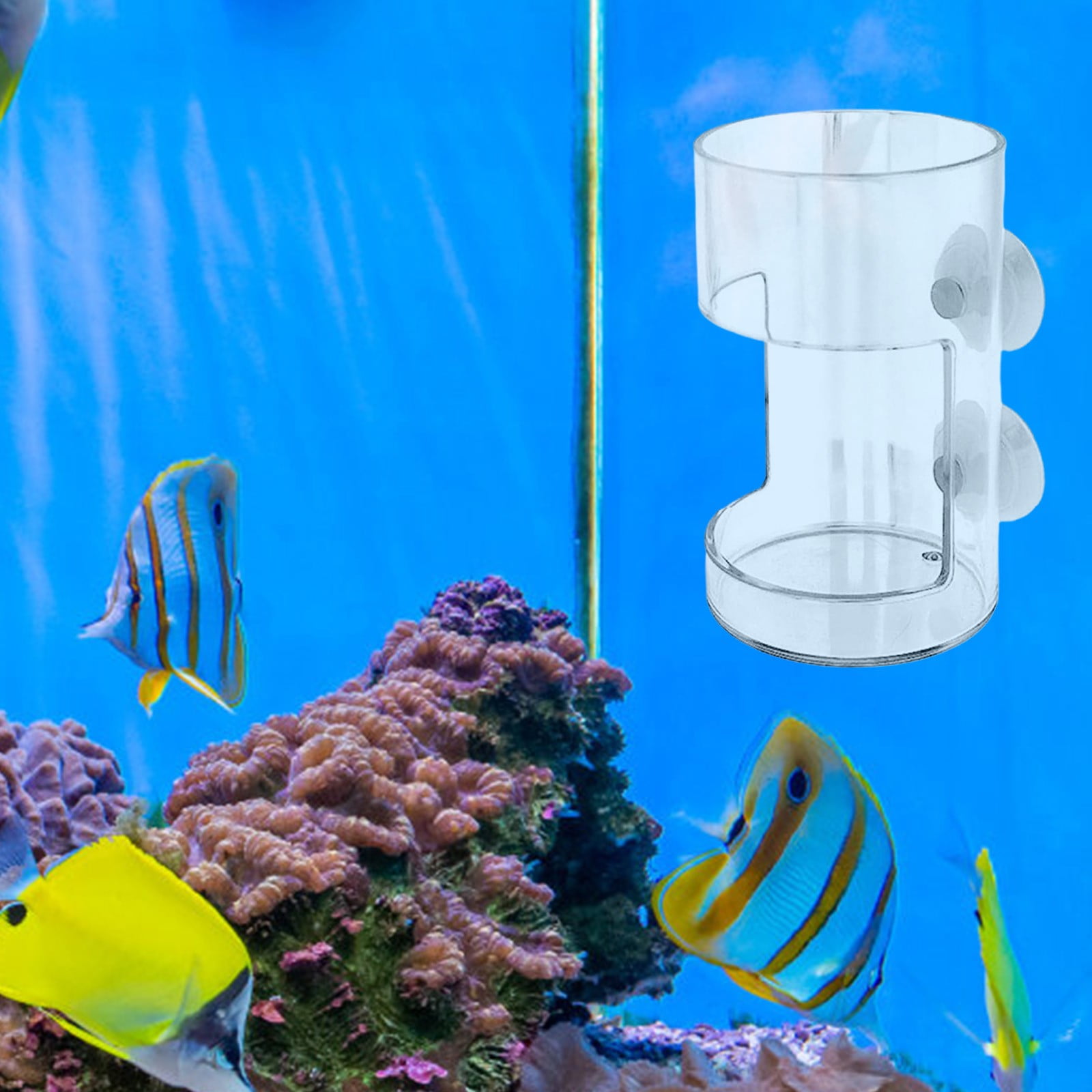 EcoNest Suction Cup Fish Feeder Aquarium Feeding Ring Fish Tank Station ...