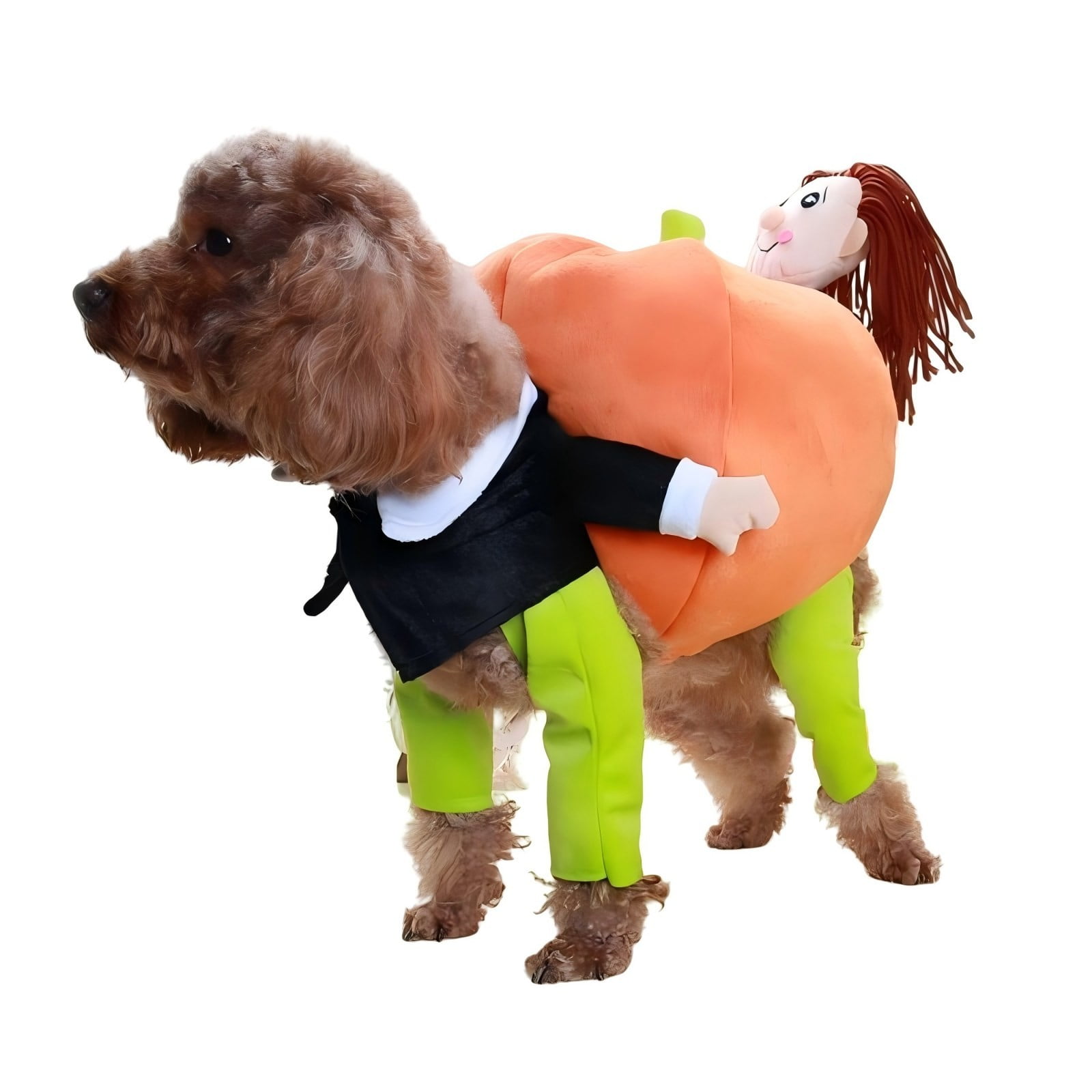 EcoNest Unique Pumpkin Outfits For Dogs Combine Fashion And Helping ...