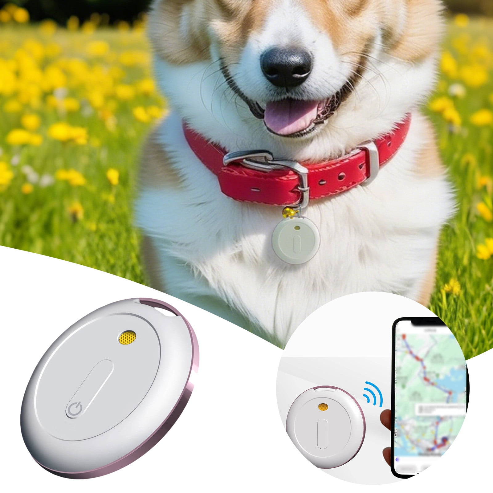 EcoNest With Historical Route Activity For And Cats Real Location ...