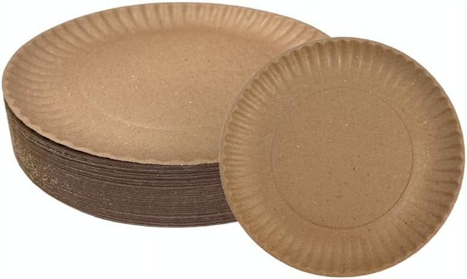 EcoQuality Disposable Kraft 9-Inch Paper Plates Uncoated Large ...
