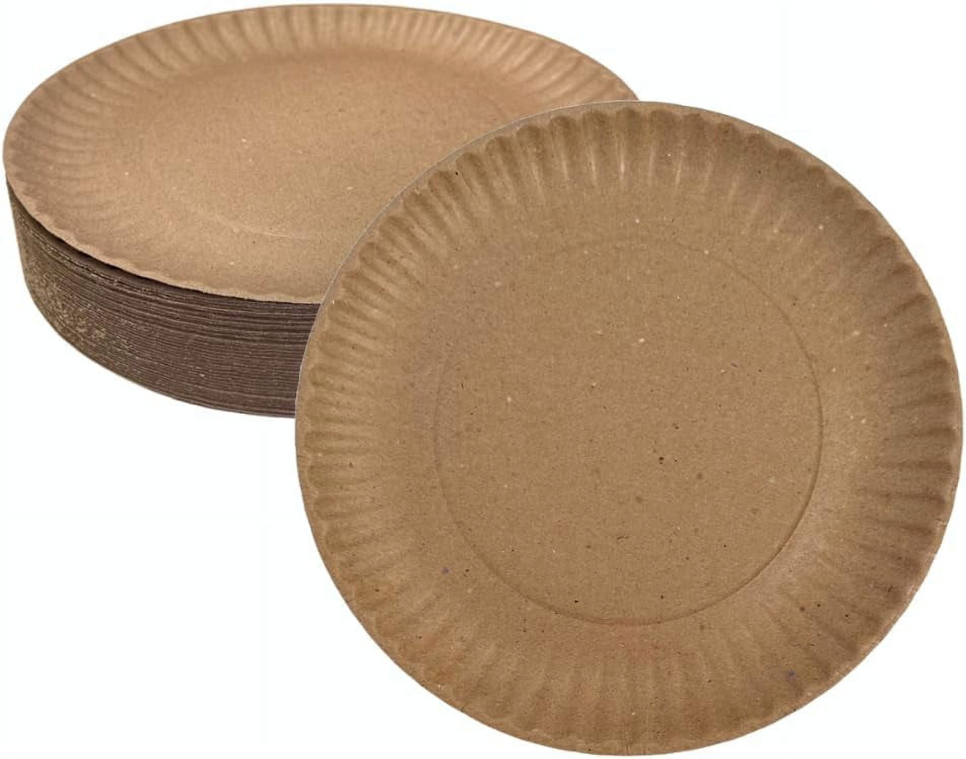 EcoQuality Disposable Kraft 9-Inch Paper Plates Uncoated Large ...