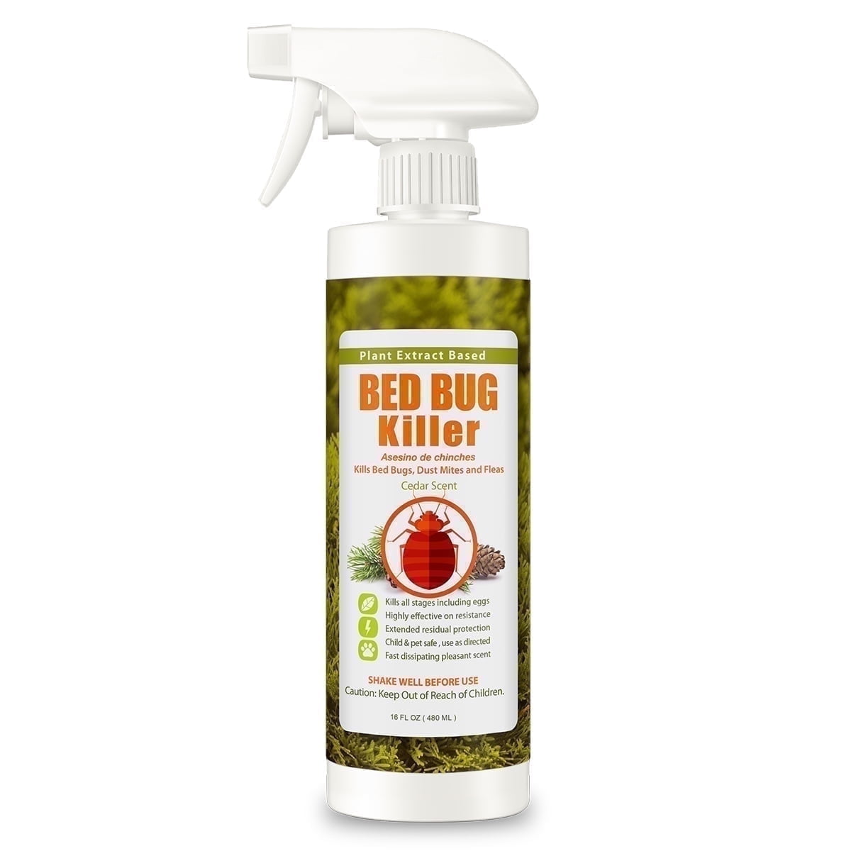 EcoRaider Bed Bug Killer - 16OZ, 100% Kill Efficacy, Nepal | Ubuy