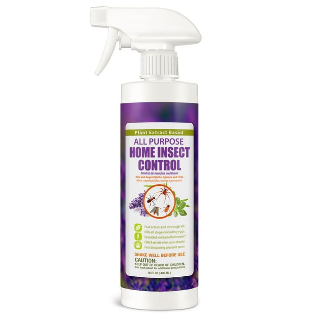 EcoRaider All Purpose Home Insect Control 16 OZ, Fast Kill & Lasting ...