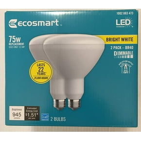 EcoSmart LED Light Bulbs - Walmart.com