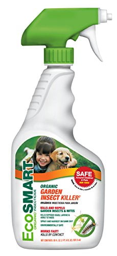 EcoSmart Non-Toxic Indoor Bug Insecticide, Plant-Based with Rosemary ...