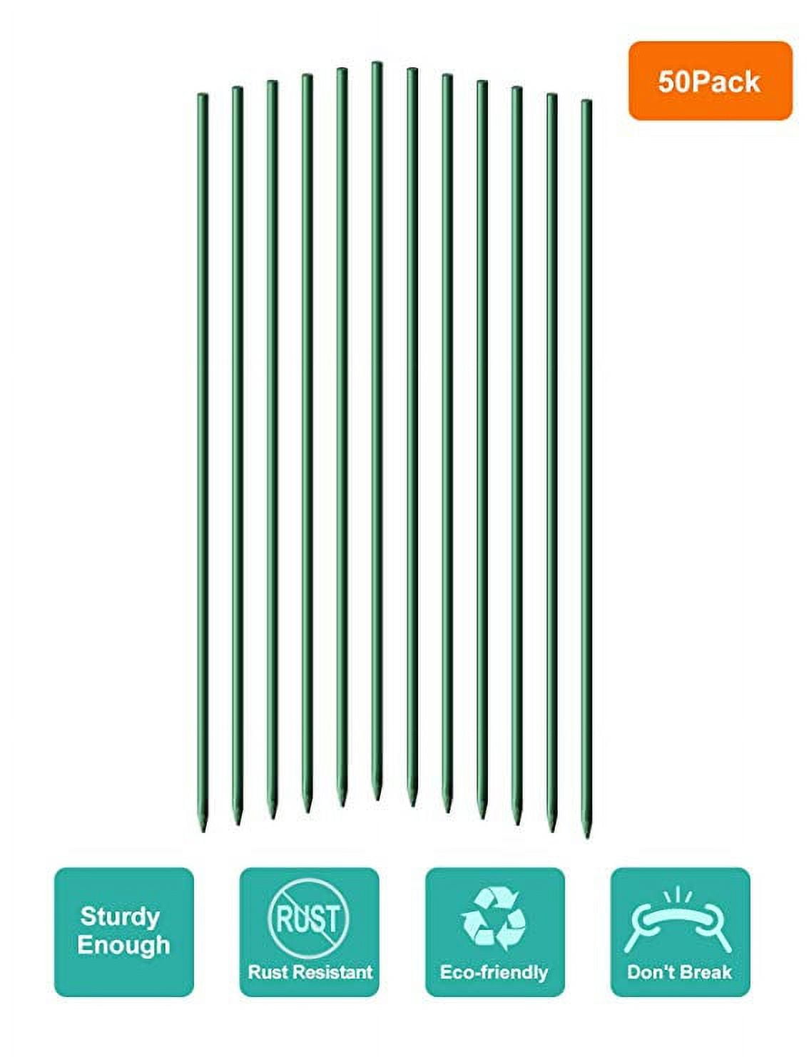 EcoStake 6 ft Indoor/Outdoor Veggie Garden Stakes for Tomato Orchid ...