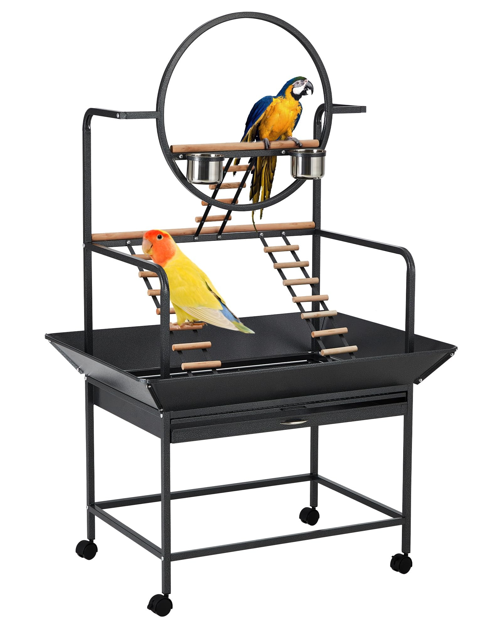 EcoSummer Bird Play Stand with Perches & Ladders, Metal Parrot ...
