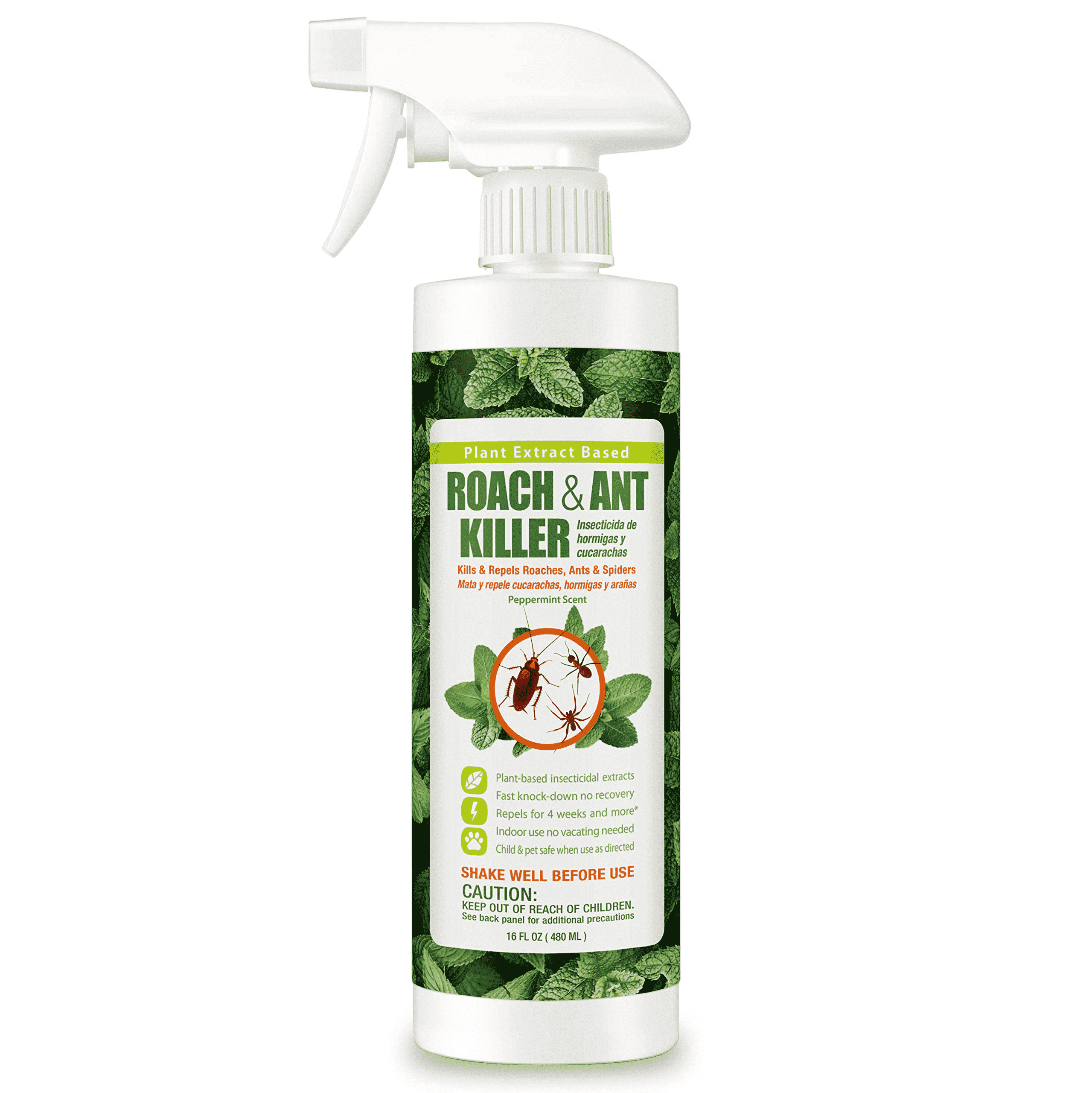EcoRaider 16oz Roach Killer & Repellent, Fast Kill, Lasting, Natural ...