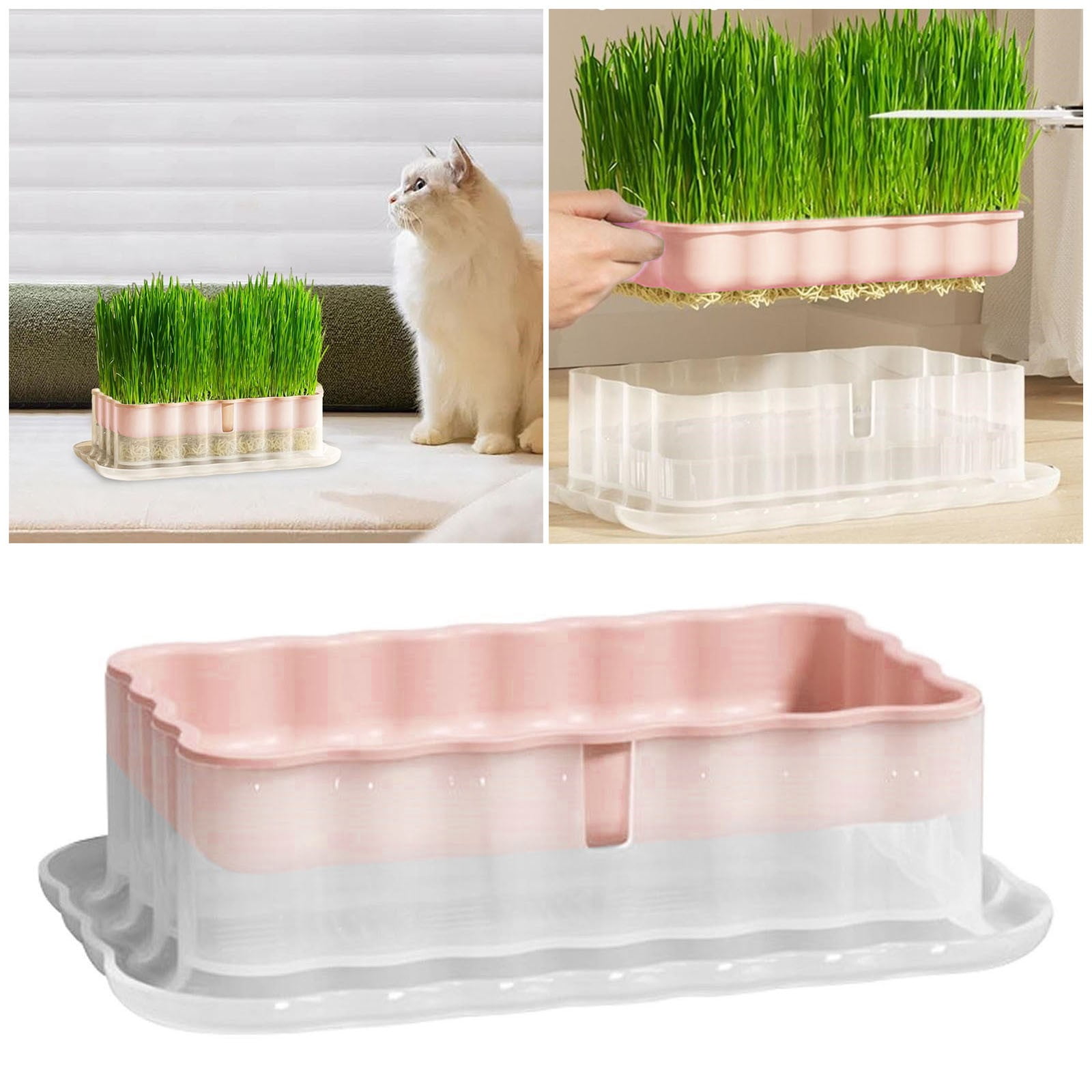 EcoVerve Cat Planter Container Cat Pot For Indoor Cats Indoor ...