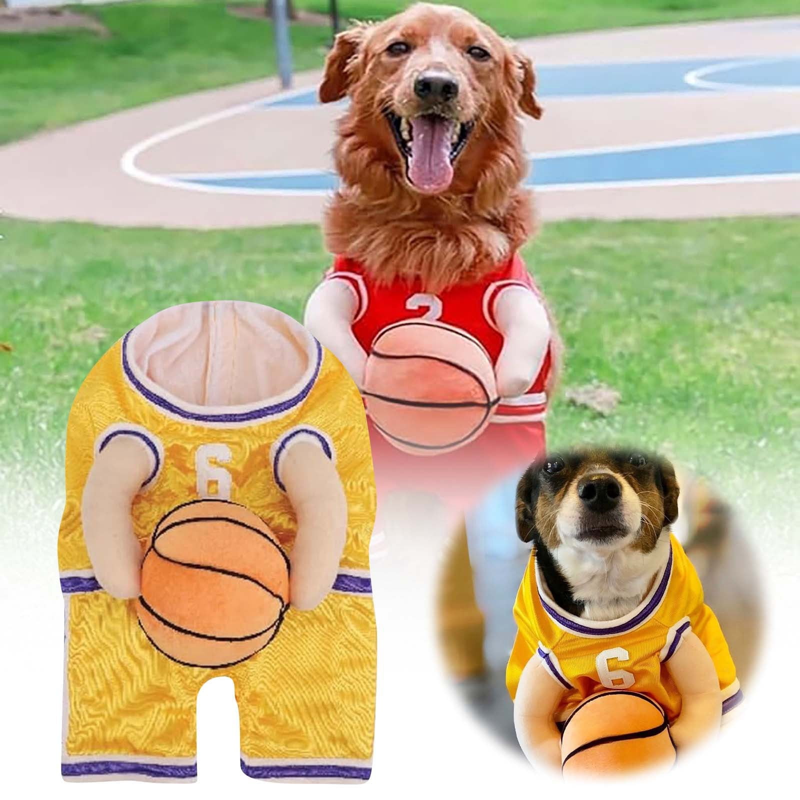 EcoVerve Dog Basketball With Dog Basketball Halloween Dog Basketball ...