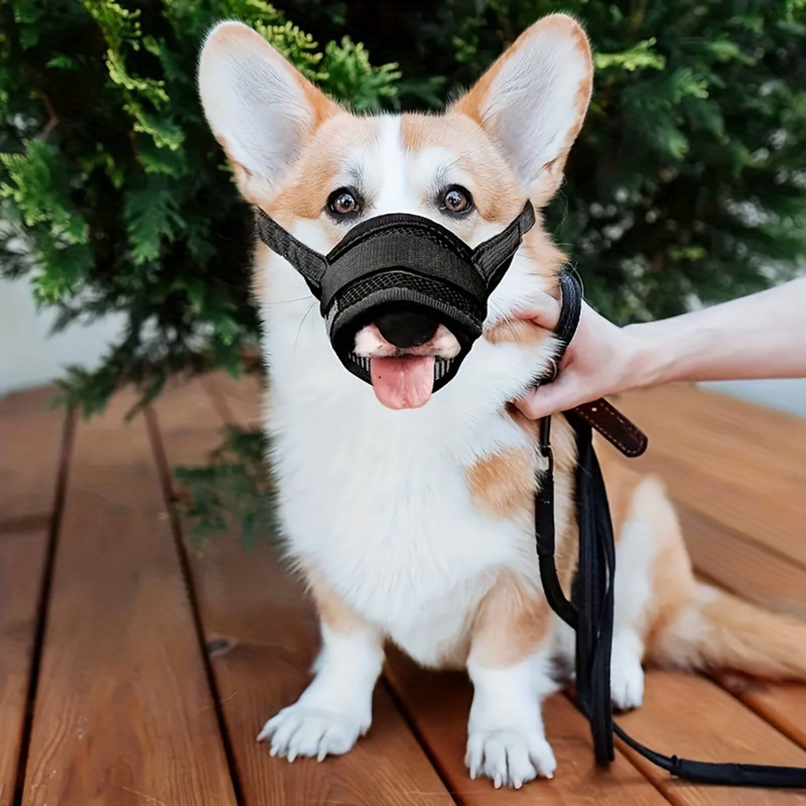 EcoVerve Dog Mouth Cover An Ti B Ite An Ti Barking An Ti Eating Can ...