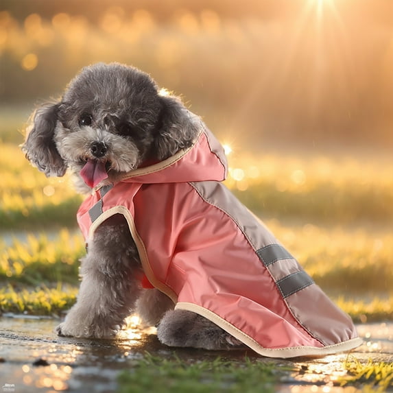 EcoVerve Four Seasons Pet Raincoat Large And Small Dogs Raincoat ...