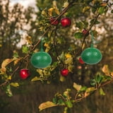 EcoVerve Fruit Fly Sticky Balls Needle Yellow/Green For Control And ...