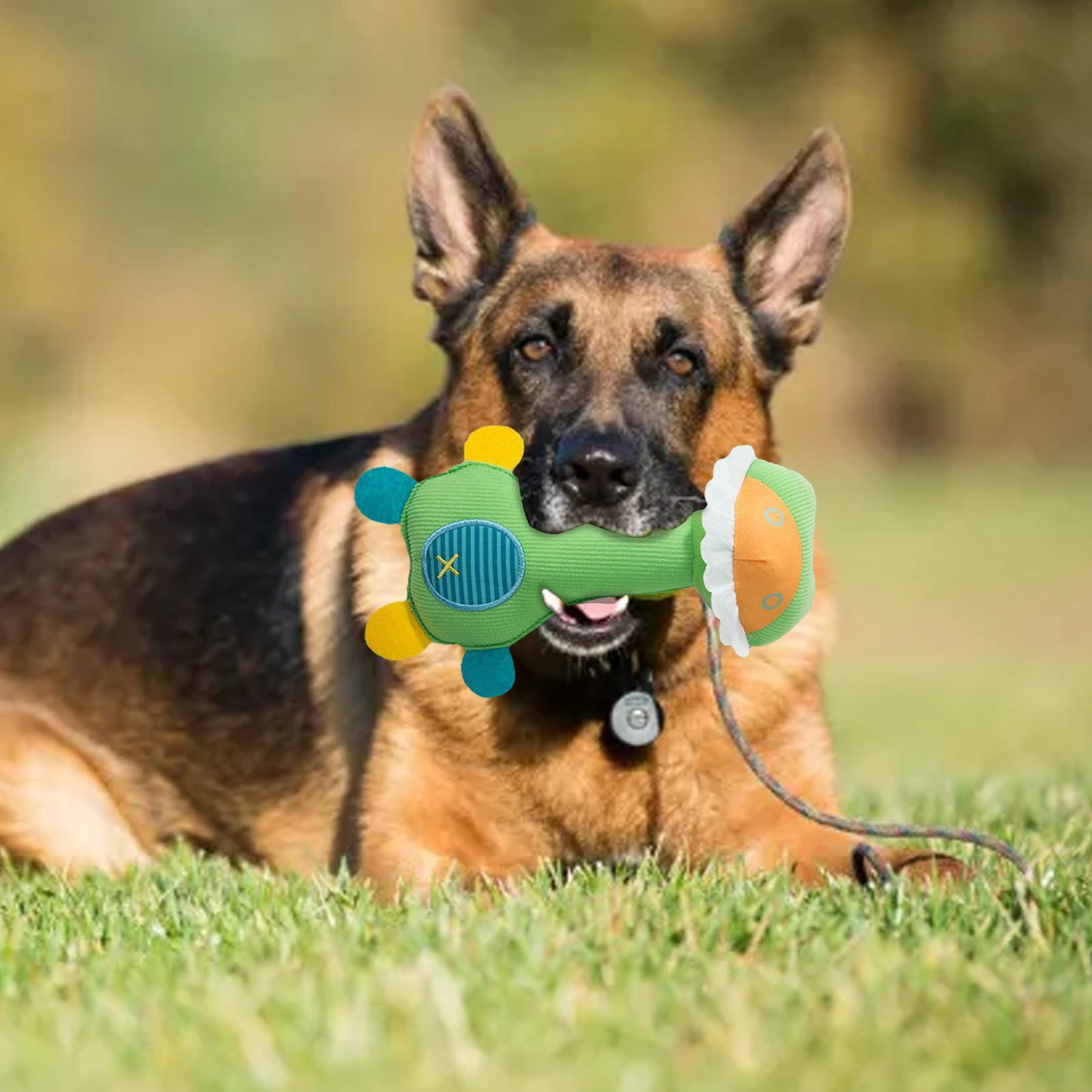 EcoVerve "Irresistible Flavored Corn Scented Dog Chew Toy: Entertain ...