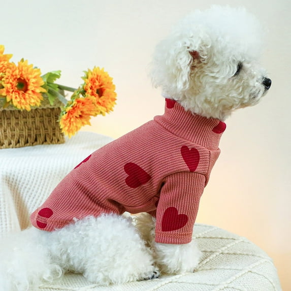 EcoVerve Pet Clothes Dog Cat Home Casual Two Foot Clothes Teddy Than ...